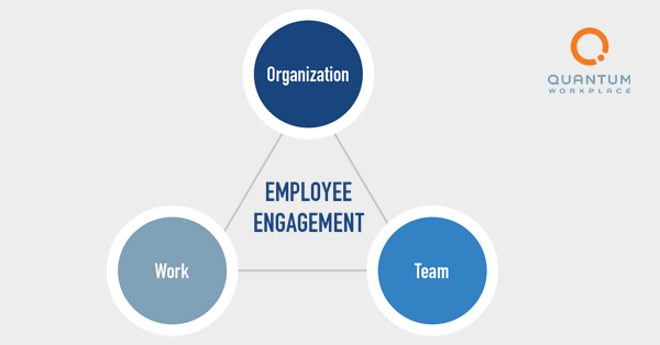 What is Employee Engagement? What, Why, and How to Improve It