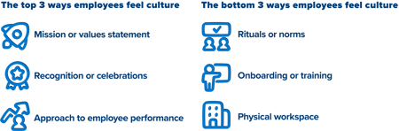 Workplace Culture Guide: How to Improve Company Culture