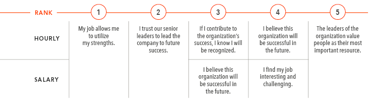 Managing Individual Differences in the Workplace