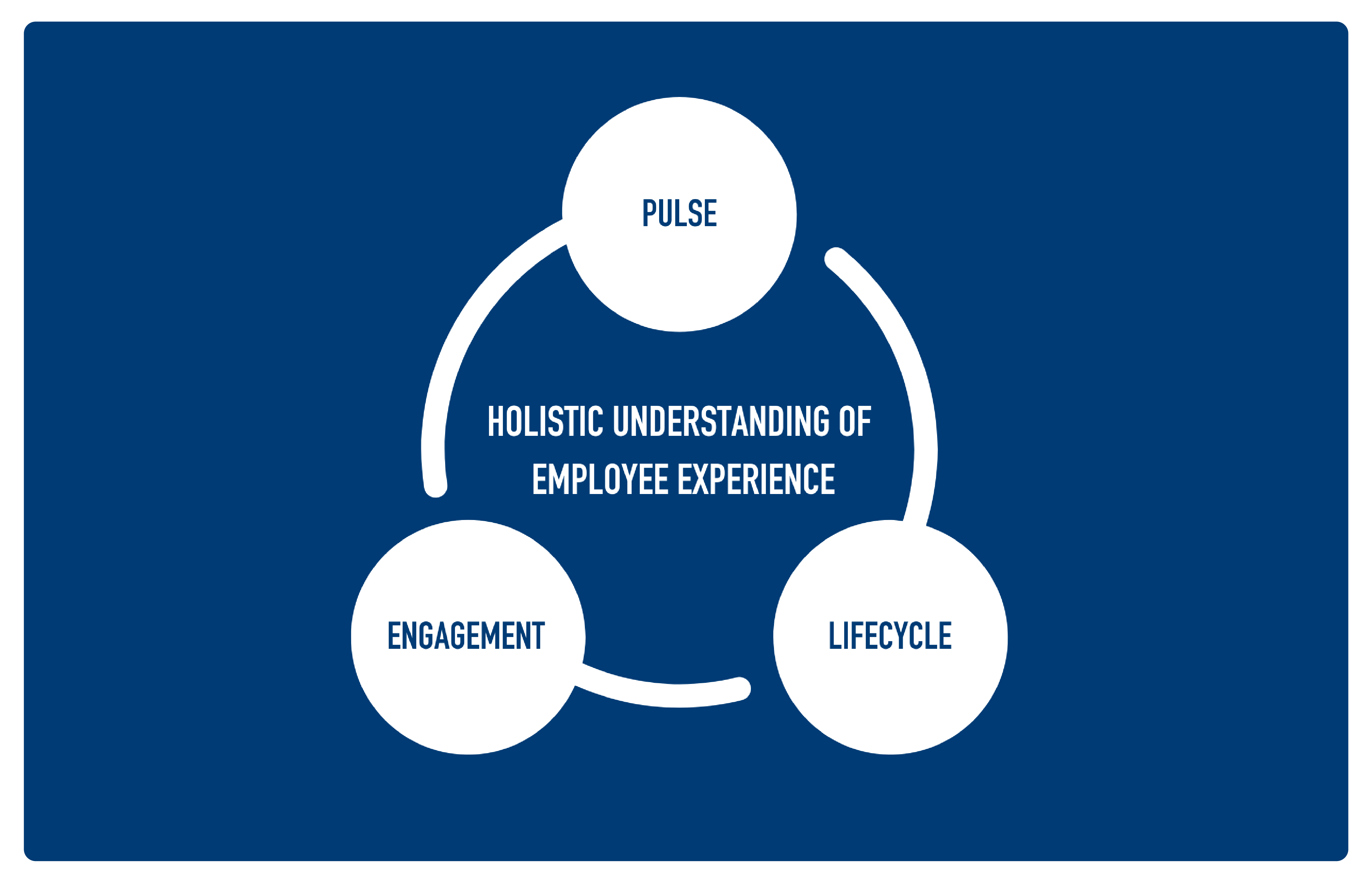 What is Employee Engagement? (And How to Boost It)